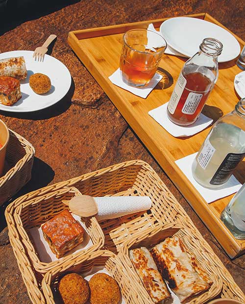 Picnic Trip by Fairlawn Falls Waterfall | Camellia Hills