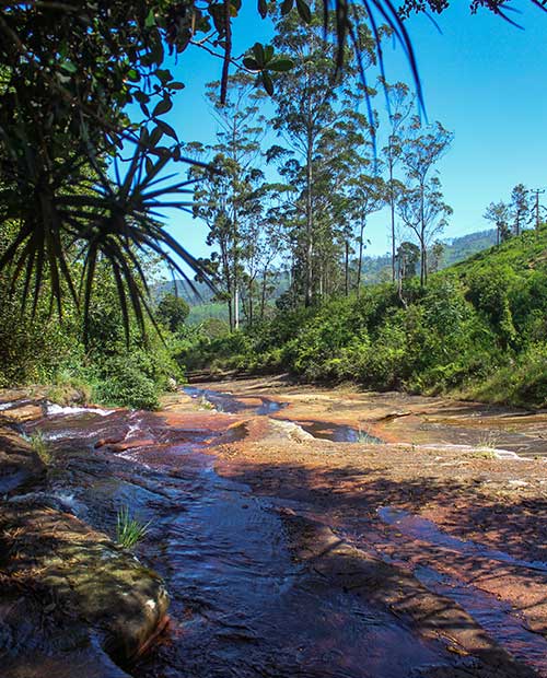 Picnic Trip by Fairlawn Falls Waterfall | Camellia Hills
