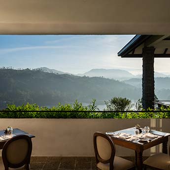 Gallery | Pictures of Camellia Hills, Hatton | Teardrop Hotels