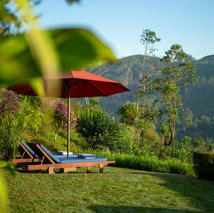 Gallery | Pictures of Camellia Hills, Hatton | Teardrop Hotels