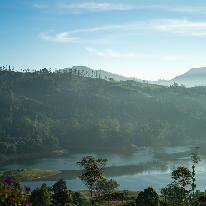 Gallery | Pictures of Camellia Hills, Hatton | Teardrop Hotels