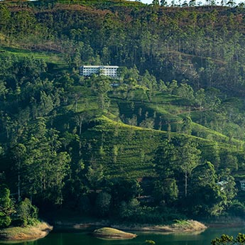 Gallery | Pictures of Camellia Hills, Hatton | Teardrop Hotels