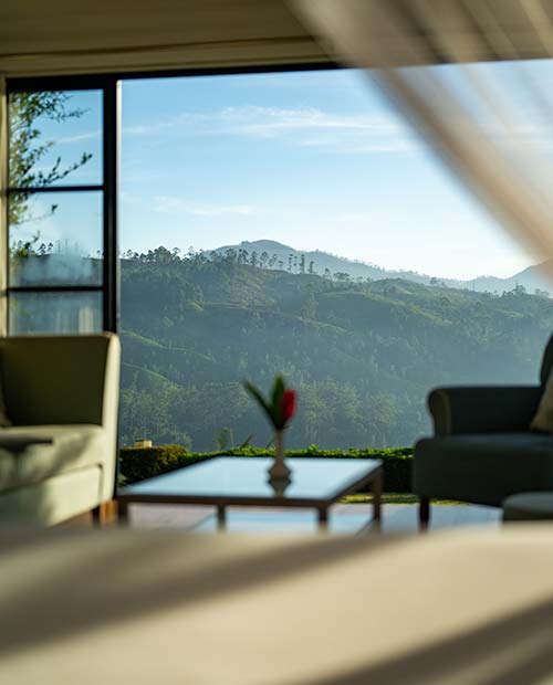 Luxury Honeymoon Bungalows in Hatton, Sri Lanka | Camellia Hills