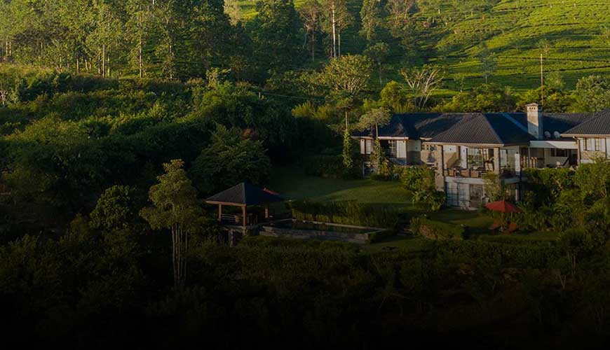 Things to Do in Hatton, Sri Lanka | Camellia Hills