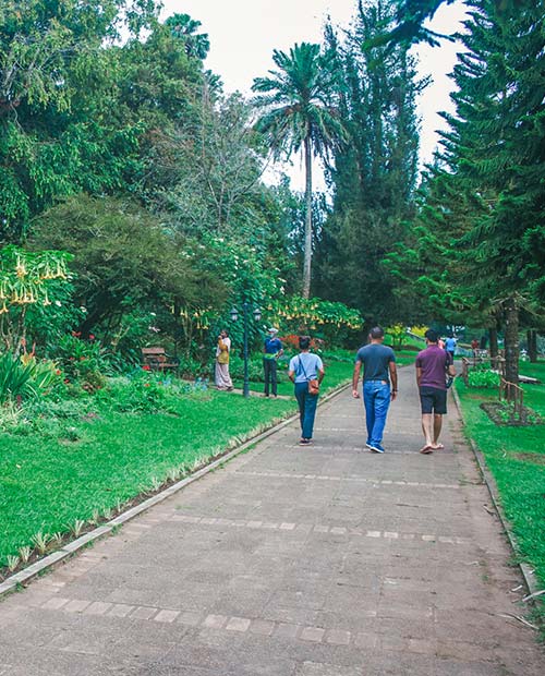 Hakgala Botanical Gardens | Sightseeing Tour | Teardrop Hotels