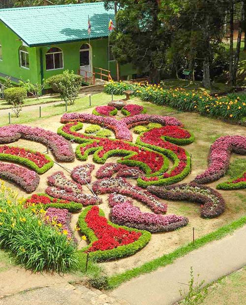 Hakgala Botanical Gardens | Sightseeing Tour | Teardrop Hotels
