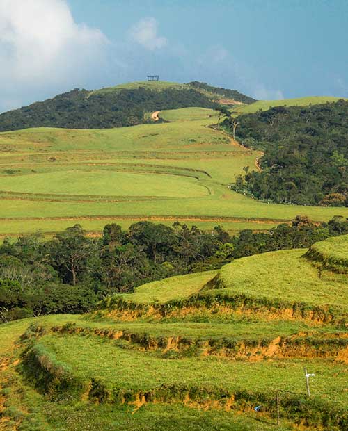Tour to the Moon Plains in Nuwara Eliya | Goatfell