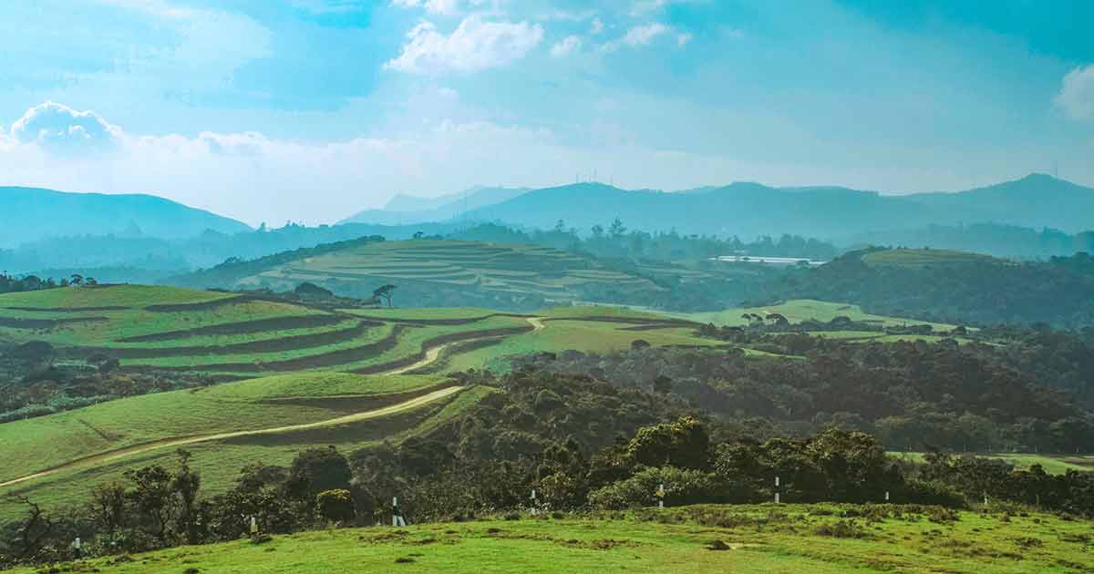 Tour to the Moon Plains in Nuwara Eliya | Goatfell