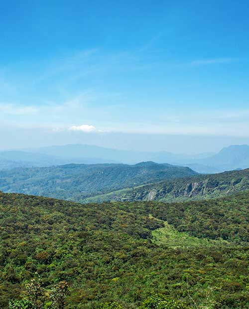 Tour to the Moon Plains in Nuwara Eliya | Goatfell