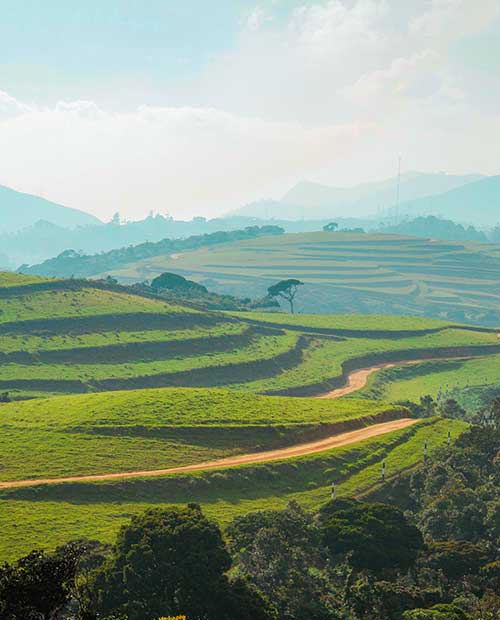 Tour to the Moon Plains in Nuwara Eliya | Goatfell