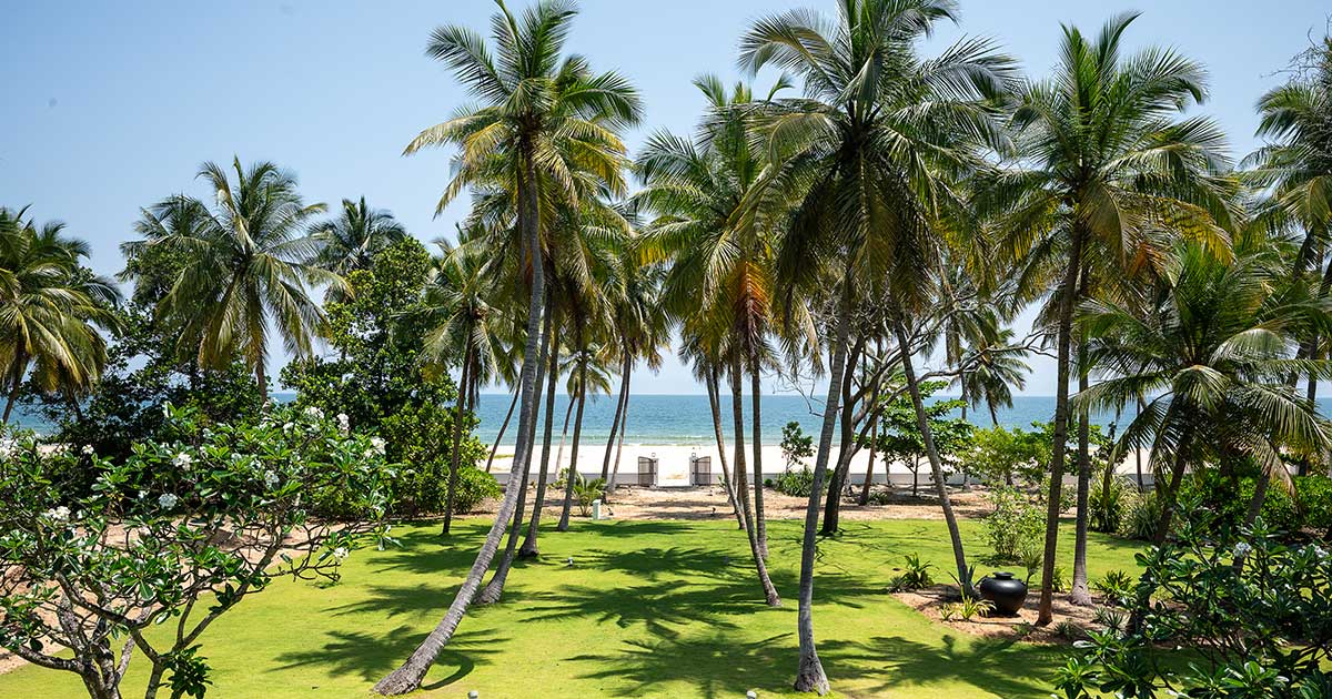 Hotel Offers in Pasikuda, Sri Lanka | Kalkudah Beach House