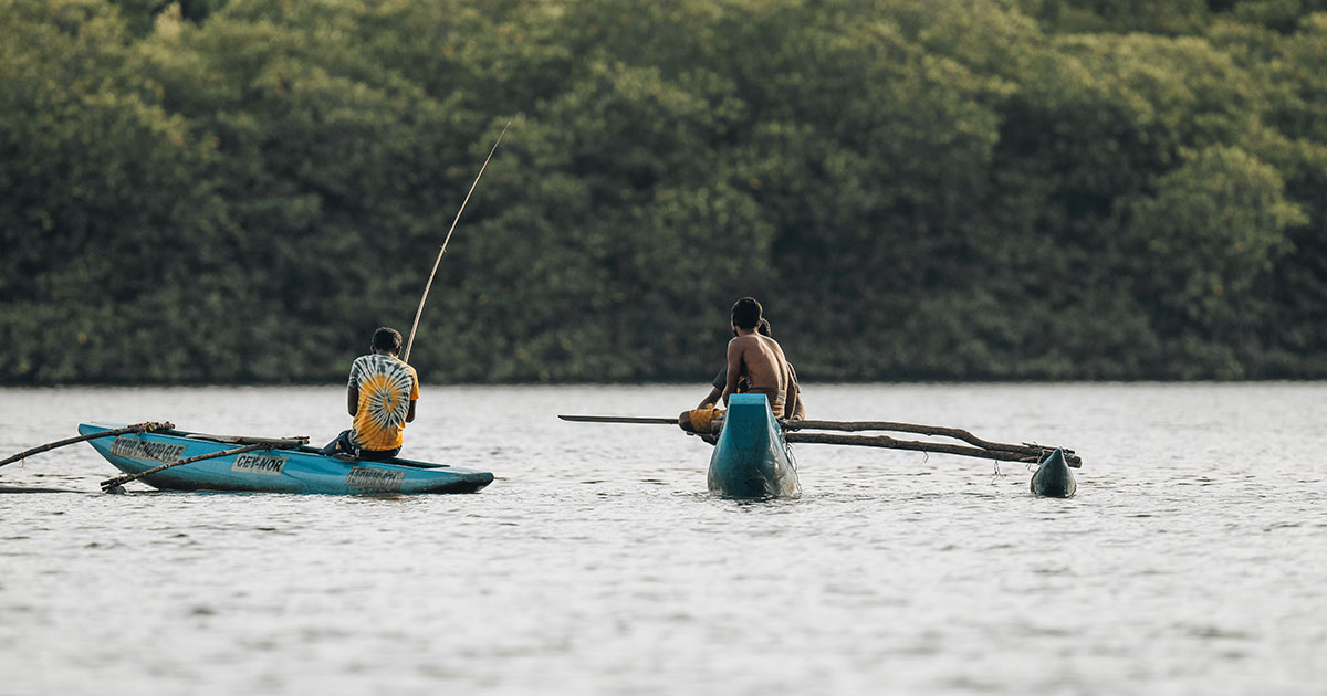 Madu River Boat Safari in Sri Lanka | Lunuganga | Teardrop Hotels
