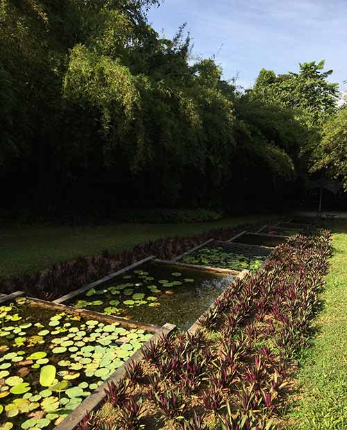 Brief Gardens | Sightseeing in Bentota | Teardrop Hotels