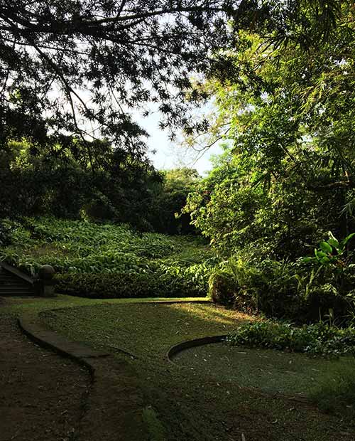 Brief Gardens | Sightseeing in Bentota | Teardrop Hotels