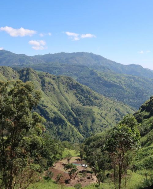 Ella Rock Hiking Experience | Activities In Ella | Teardrop Hotels