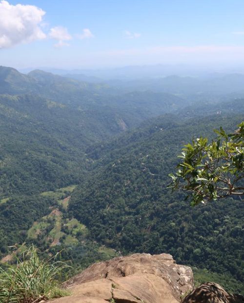 Ella Rock Hiking Experience | Activities In Ella | Teardrop Hotels