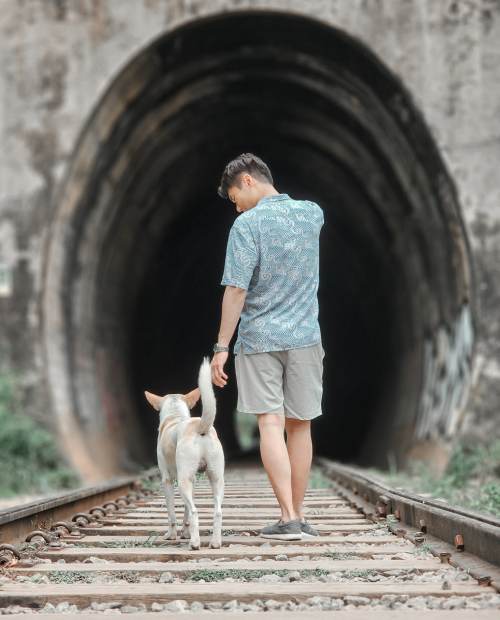 Nine Arch Bridge | Sightseeing in Ella | Teardrop Hotels