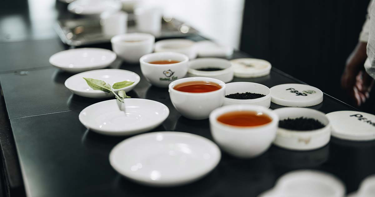 Guided Tea Factory Tour in Ella | Teardrop Hotels