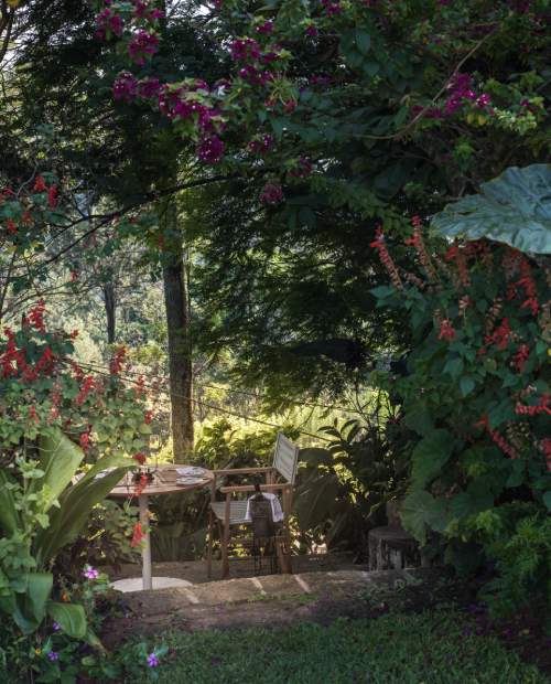 Luxury Honeymoon Tea Estate Bungalows in Ella, Sri Lanka | Nine Skies