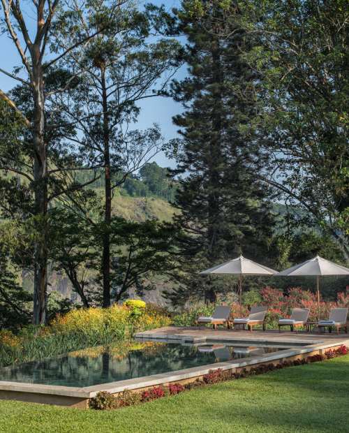 Luxury Honeymoon Tea Estate Bungalows in Ella, Sri Lanka | Nine Skies