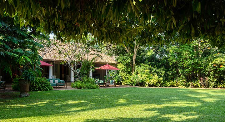 Luxury Travel Packages & Cultural Tours in Sri Lanka | Teardrop Hotels