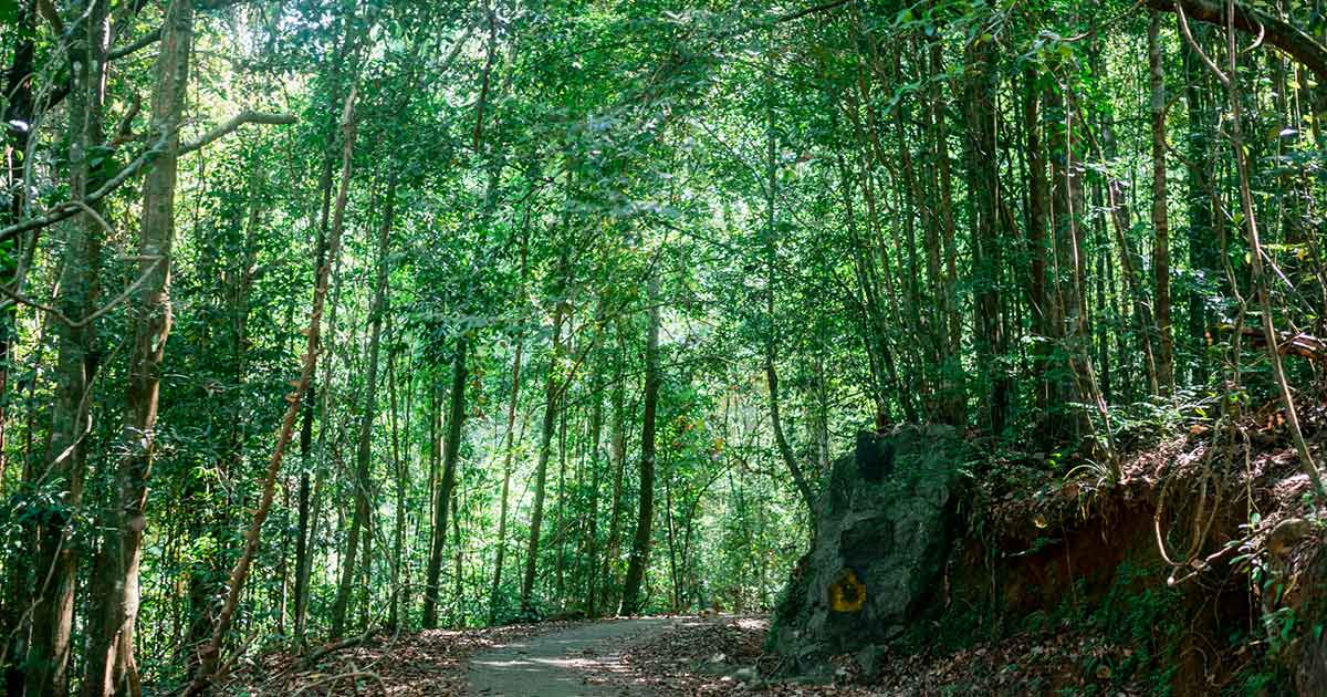 Rainforest Trek & Wildlife Tour in Sri Lanka | Teardrop Hotels