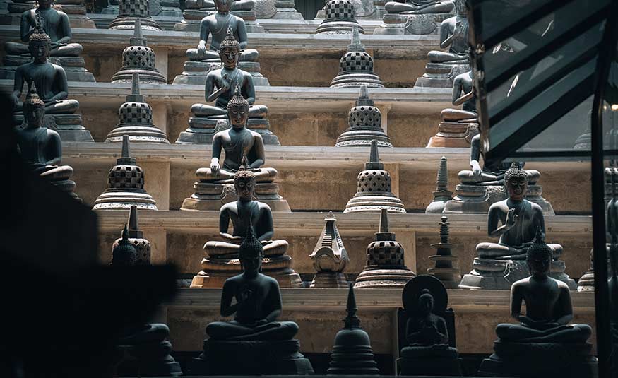 Luxury Travel Packages & Cultural Tours in Sri Lanka | Teardrop Hotels