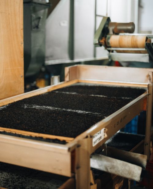 Guided Tea Factory Tour in Sri Lanka | Teardrop Hotels
